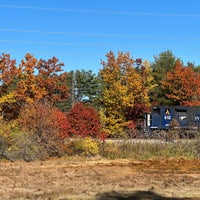 Fore River Sanctuary Trail - 1 tip from 122 visitors
