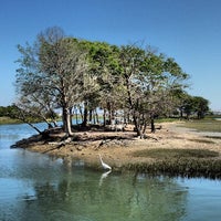 Goat Island - Murrells Inlet, SC