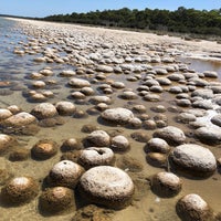 Lake Clifton Thrombolites - Scenic Lookout