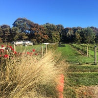 Bruny Island Berry Farm - 3 tips