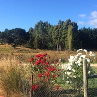 Bruny Island Berry Farm - 3 tips