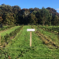 Bruny Island Berry Farm - 3 tips