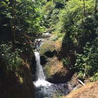 Oneonta Gorge (Now Closed) - Other Great Outdoors in Portland