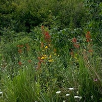 Volo Bog State Natural Area - Nature Preserve in Ingleside