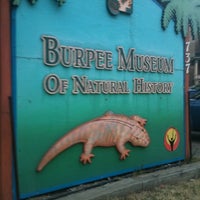 Burpee Museum Of Natural History - History Museum in Rockford