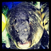 C. A. Curtze Co - Distribution Center in East Erie