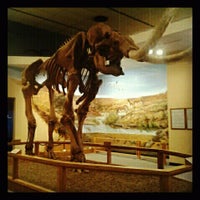 TTU - Museum of Texas Tech - Museum in Lubbock