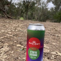 Morley Field Disc Golf Course - Balboa Park - 14 tips