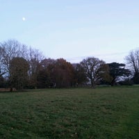 Henham Park - Park