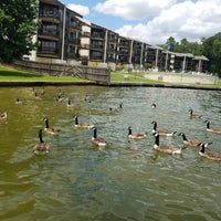 Lake Hamilton - Lake