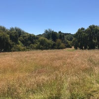 Alphen Trail - Constantia - 3 tips