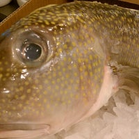 T&T Fish & Reef - Pet Supplies Store