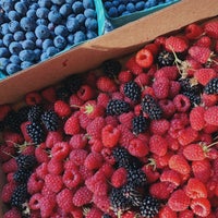 Graysmarsh Berry Farm - Farm in Sequim