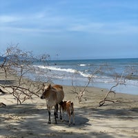syahbandar beach - 2 tips