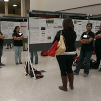 TTU - Museum of Texas Tech - Museum in Lubbock