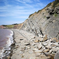 Joggins Fossil Cliffs - History Museum