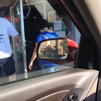 Java Cat - Madison, WI