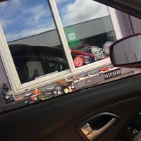 Java Cat - Madison, WI