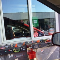 Java Cat - Madison, WI