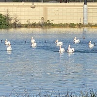 Lake Ivanhoe - Lake in North Orange