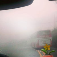 Marcos Highway - 3 tips from 246 visitors