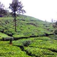 Kalpetta - Wayanad district, Kerala