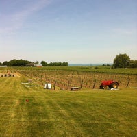 Fielding Estate Winery - Winery in Beamsville