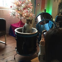 Blue Cat Cafe (Now Closed) - East Cesar Chavez - Austin, TX