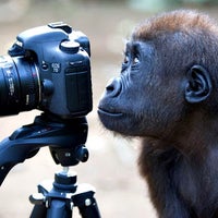 Studi Fotografici Professionali Roma - Ludovisi - Roma, Lazio