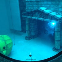 Duiktank - Dive Spot in Zwevegem