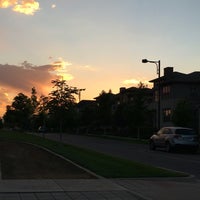 Stapleton - Neighborhood