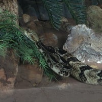 Gatorland Gift Shop - Orlando, FL
