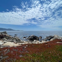 Pescadero Point - 4 tips from 1208 visitors