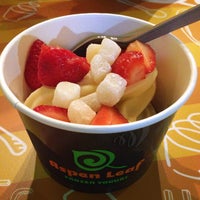 U-Swirl Frozen Yogurt - Frozen Yogurt Shop