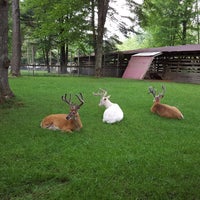 Double Diamond Deer Ranch - Farm
