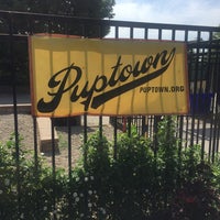 Puptown - Uptown - 11 tips