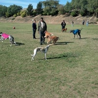 Springville Park - Park