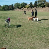 Springville Park - Dog Park