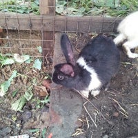 Yatanarpon Teleport - Yangon, Yangon Region