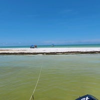 Three Rooker Island - Dunedin, FL