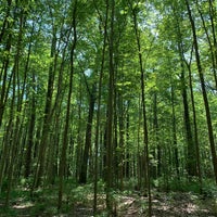 Stumpy Lake Nature Trail - Kempsville - Unnamed Rd