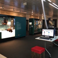 Customs House Library - 11 tips