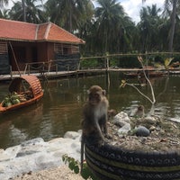 Hon Lao Monkey Island - 20 tips