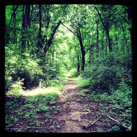 Wright State University - University