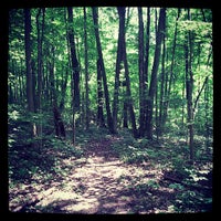 Wright State University - University