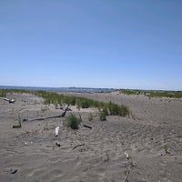 Damon Point State Park - Beach in Ocean Shores