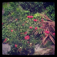 Kalpetta - Wayanad district, Kerala