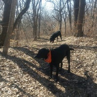 Dunton Locks County Park - Other Great Outdoors