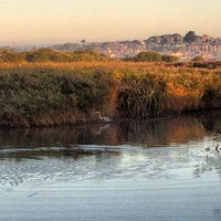 RSPB Radipole Lake - Lake
