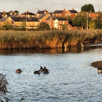 RSPB Radipole Lake - Lake